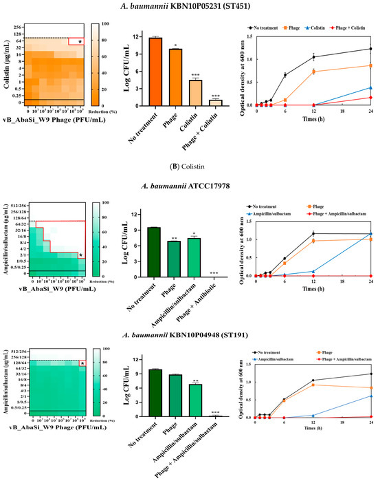 Synergistic Antimicrobial Effects of Phage vB_AbaSi_W9 and Antibiotics against Acinetobacter ...