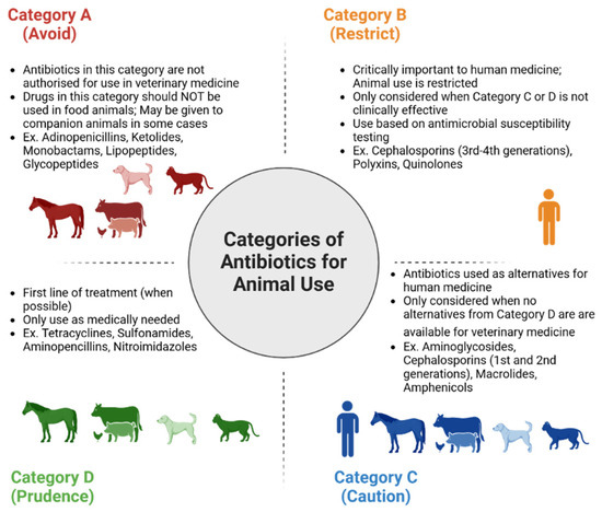 Antibiotics | Free Full-Text | Antimicrobial Resistance in Equines: A ...