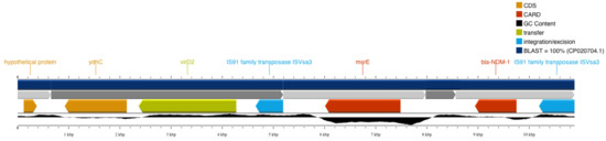 Rapid Reversal of Carbapenemase-Producing Pseudomonas aeruginosa ...