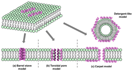 Antimicrobial Peptides and Their Biomedical Applications: A Review