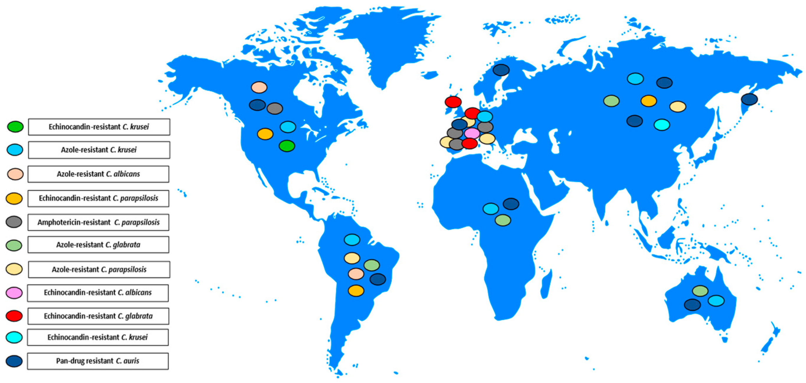 Antifungal Susceptibility Data and Epidemiological Distribution of ...