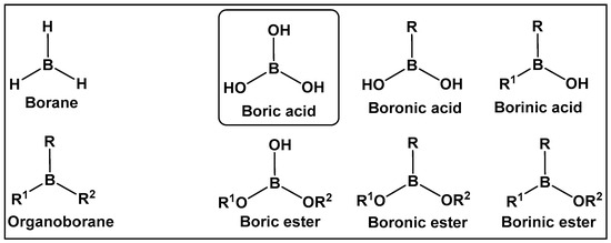 Activity of Organoboron Compounds against Biofilm-Forming Pathogens