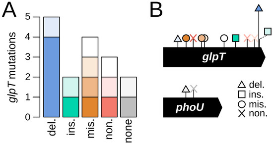 Novel Fosfomycin Resistance Mechanism in Pseudomonas entomophila Due to ...