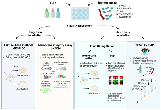 Bactericidal Evaluation Of The Antimicrobial Activity Of The Alcoholic