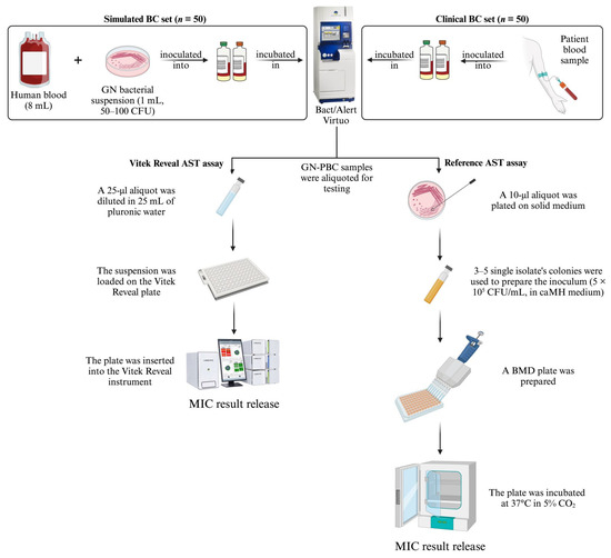 Verification of the Vitek Reveal System for Direct Antimicrobial ...