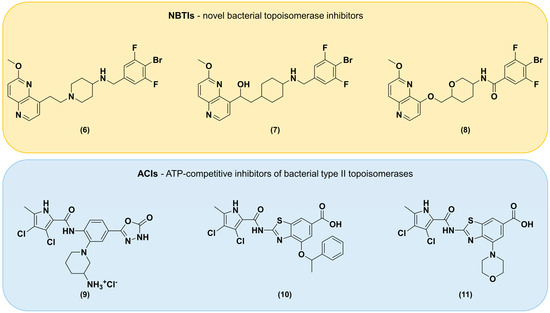 Enhancing Antibacterial Efficacy: Combining Novel Bacterial ...