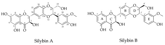 A Comprehensive Review on the Antibacterial, Antifungal, Antiviral, and ...