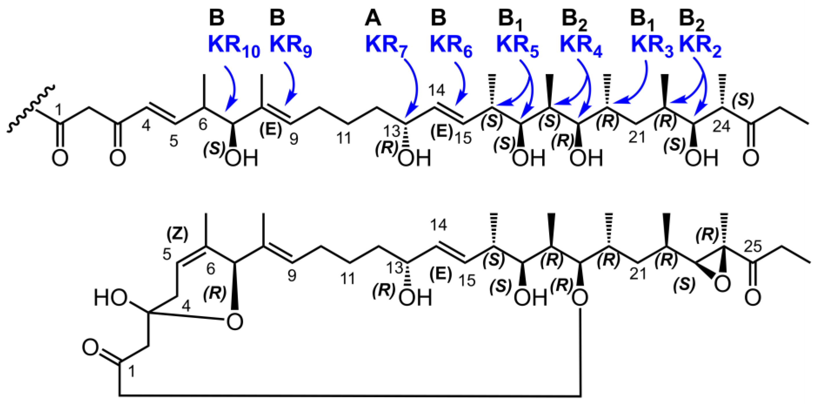 Molecular Decoration and Unconventional Double Bond Migration in ...