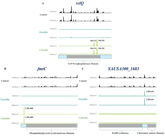 The Secondary Resistome of Methicillin-Resistant Staphylococcus aureus to β-Lactam Antibiotics