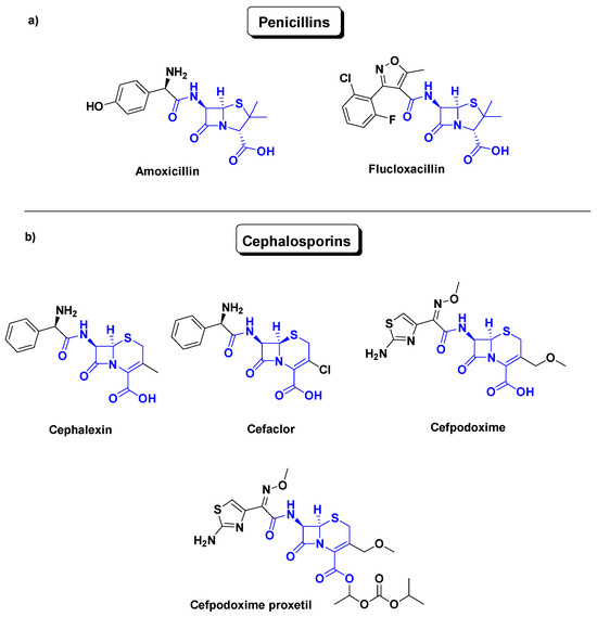 Comprehensive Overview of Antibacterial Drugs and Natural Antibacterial ...