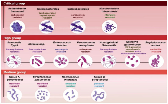 A Comprehensive Overview of Antibacterial Agents for Combating ...