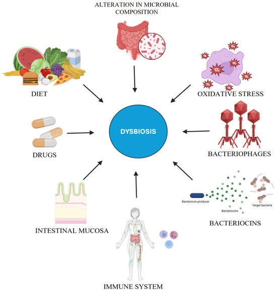 The Impact of Antibiotic Therapy on Intestinal Microbiota: Dysbiosis ...