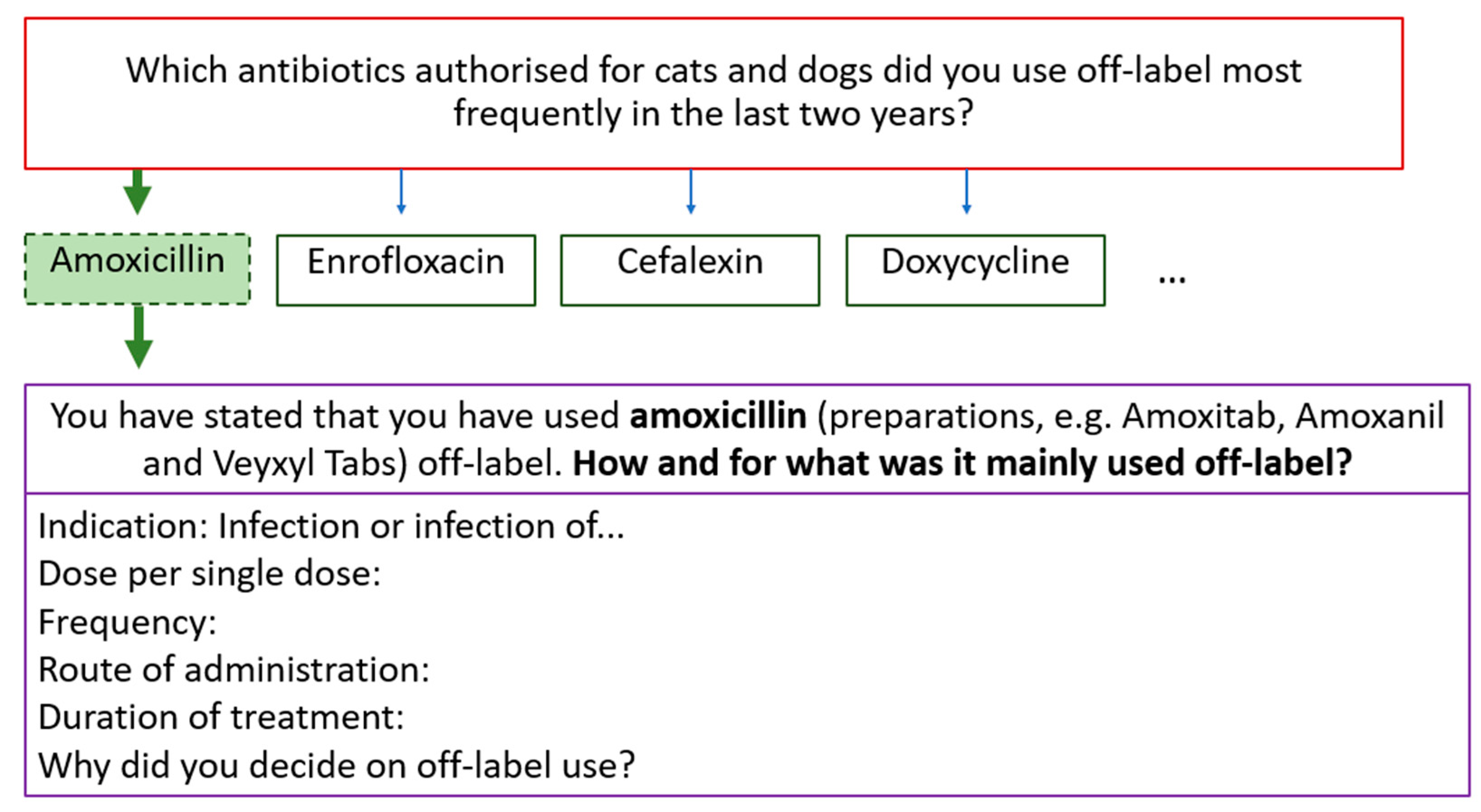 Off-Label Use of Antibiotics in Small Animal Medicine—A Germany-Wide ...