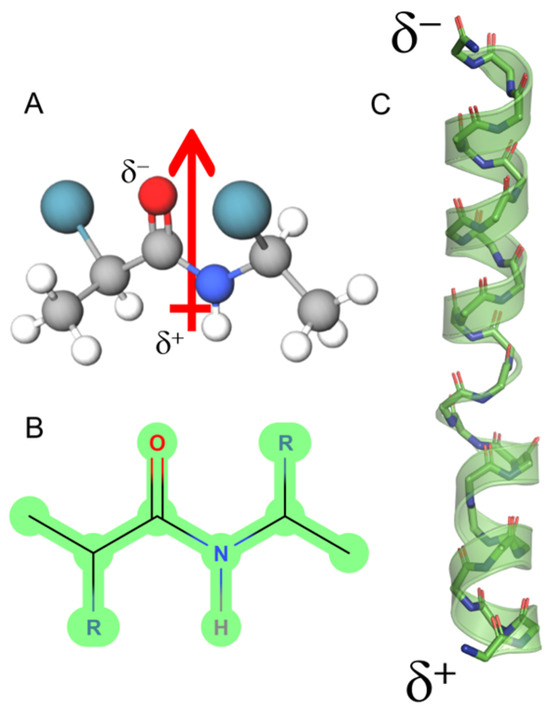 The Role of Flexibility in the Bioactivity of Short α-Helical ...