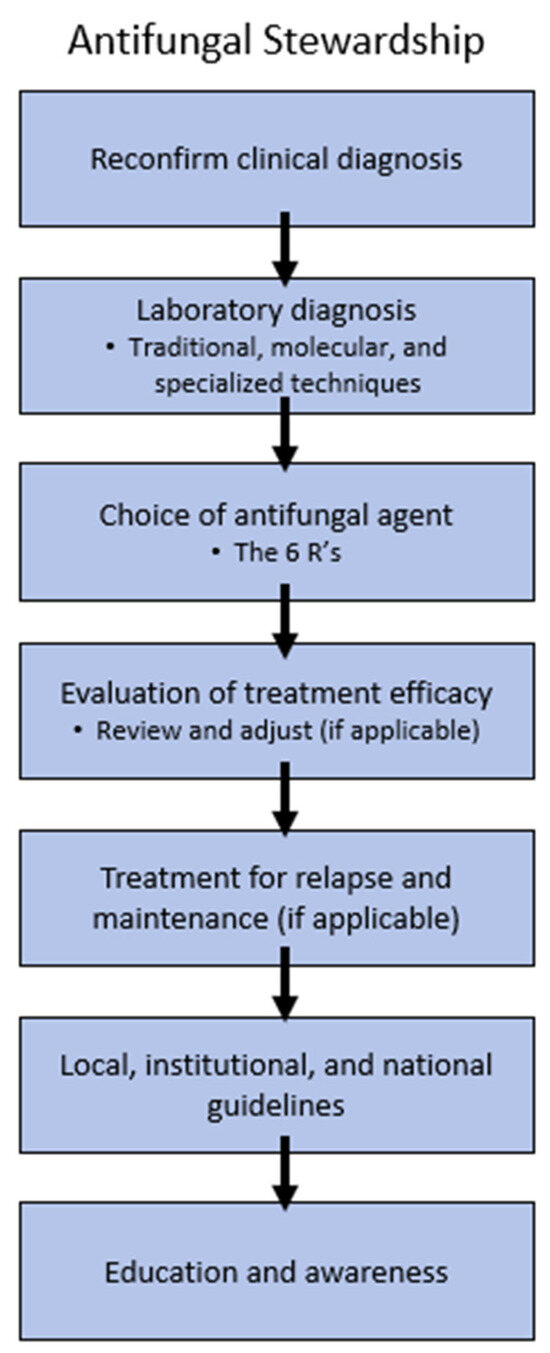 Terbinafine Resistance in Trichophyton rubrum and Trichophyton ...