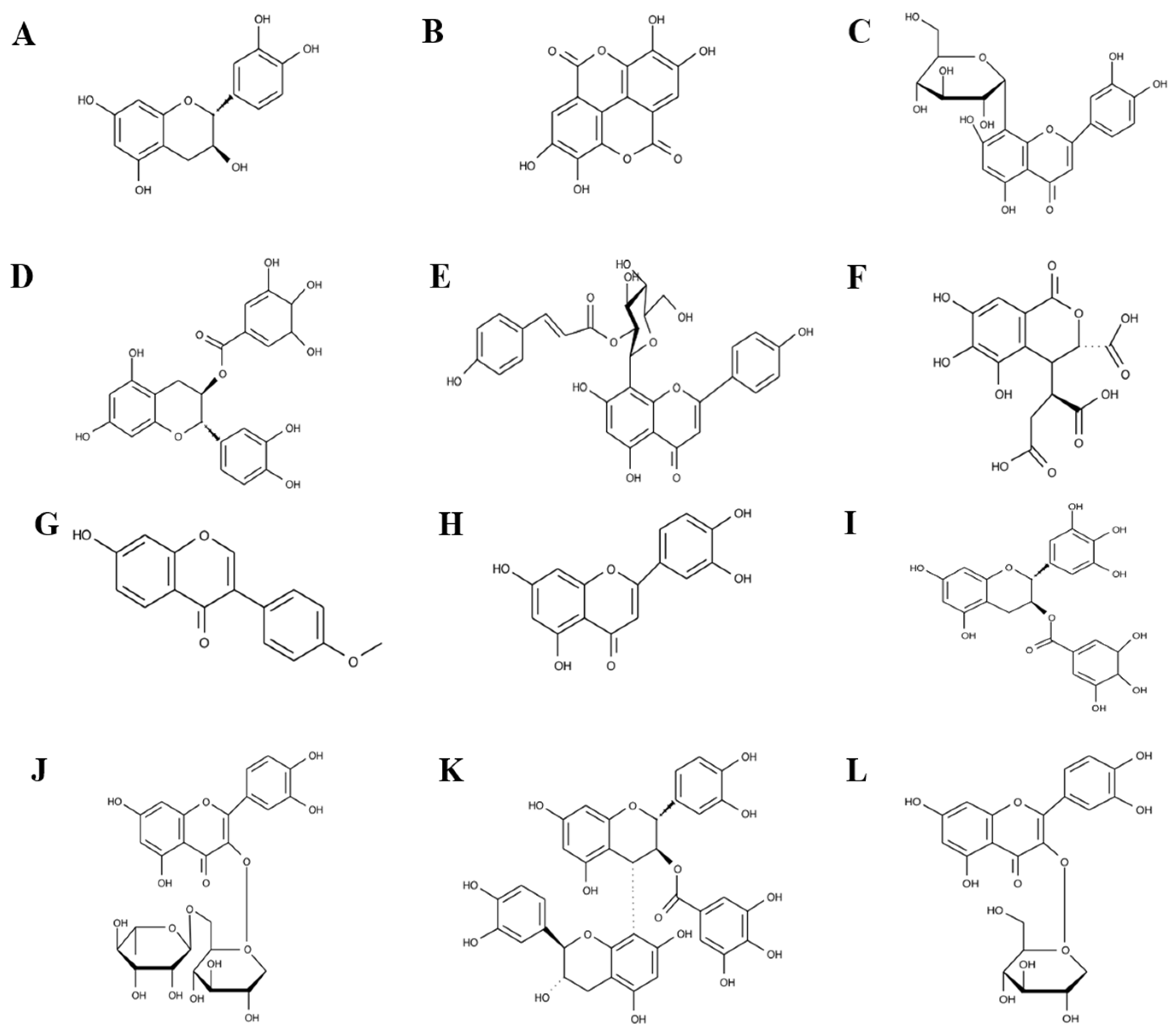 Antibacterial and Synergistic Effects of Terminalia citrina Leaf ...