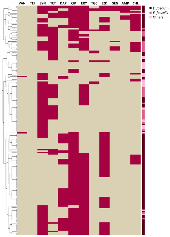 Does Bovine Raw Milk Represent a Potential Risk for Vancomycin ...