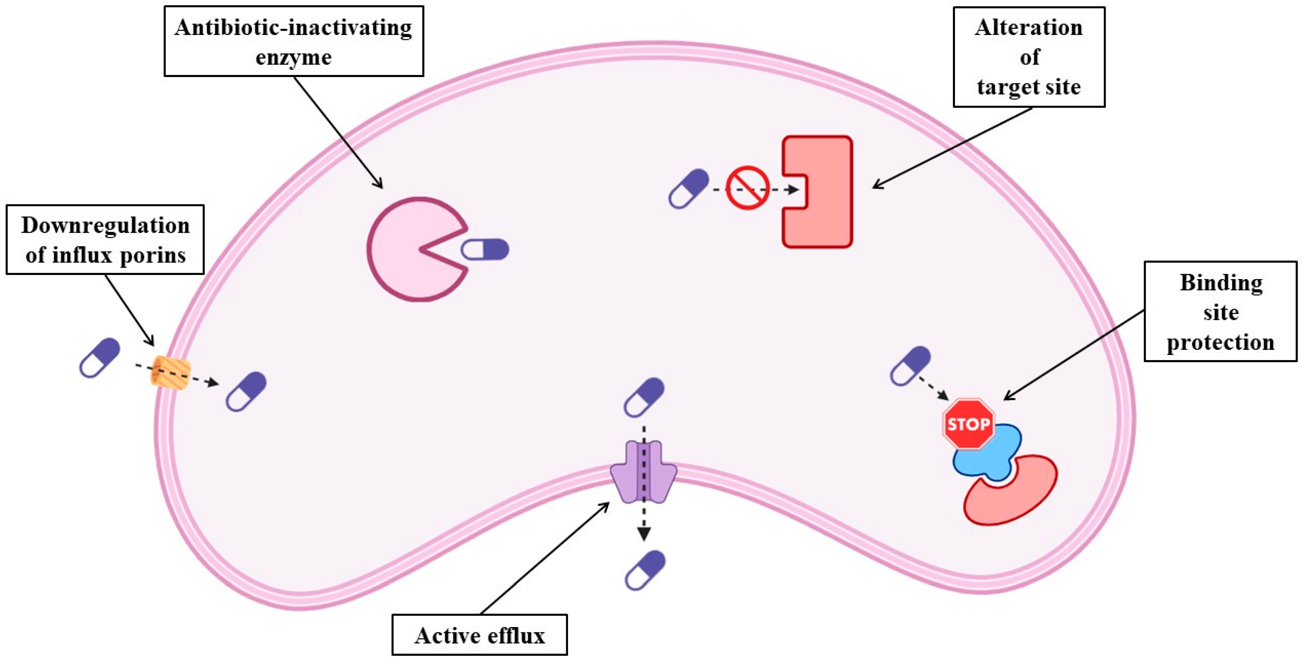 Antimicrobial Resistance: How Can We Overcome the Problem?