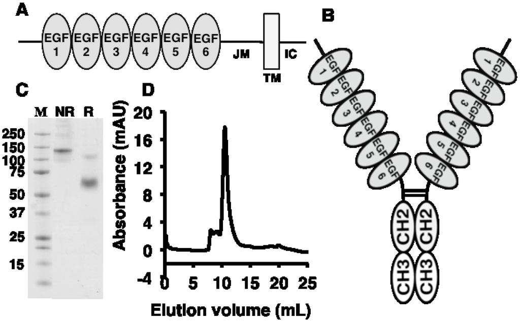 Antibodies | Free Full-Text | A Monoclonal Antibody to Human DLK1 ...