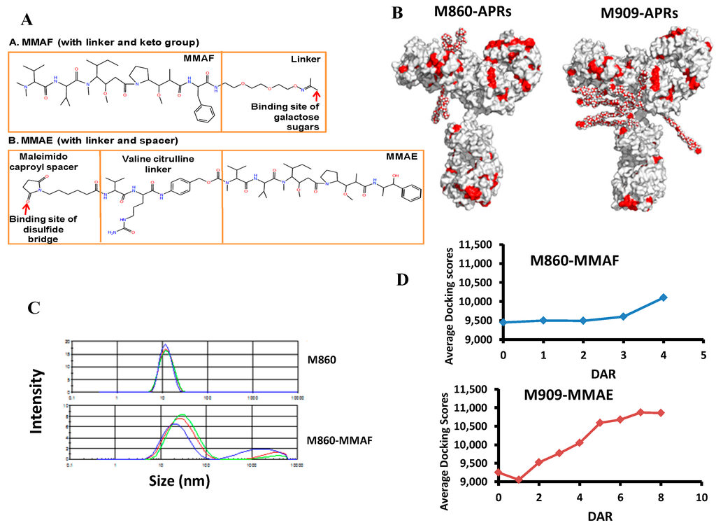 Antibody Aggregation: Insights from Sequence and Structure