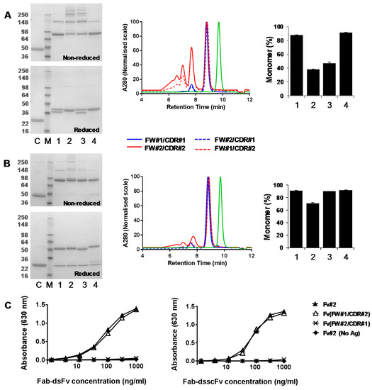 Antibodies | Free Full-Text | Relative Contribution of Framework and ...