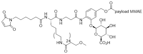 Antibody Conjugates-Recent Advances and Future Innovations