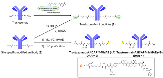 A Purification Strategy Utilizing Hydrophobic Interaction ...