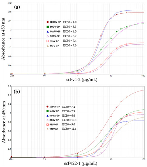 Ribosome Display Technology: Applications in Disease Diagnosis and Control