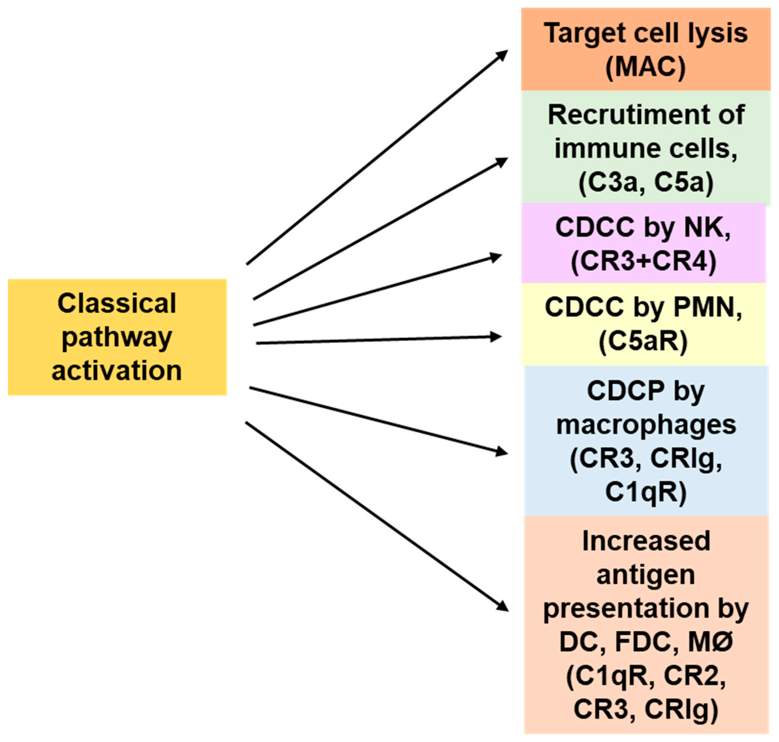 Antibodies | Free Full-Text | The Role of Complement in the Mechanism ...