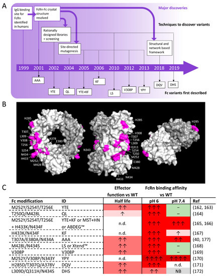 Fc-Engineering for Modulated Effector Functions—Improving Antibodies ...