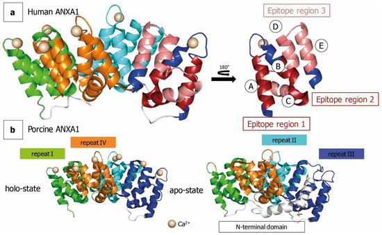 Antibodies | Free Full-Text | HDX-MS for Epitope Characterization of a ...