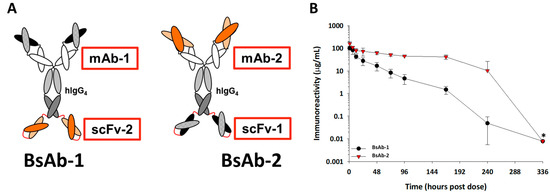 Pharmacokinetic Developability and Disposition Profiles of Bispecific ...
