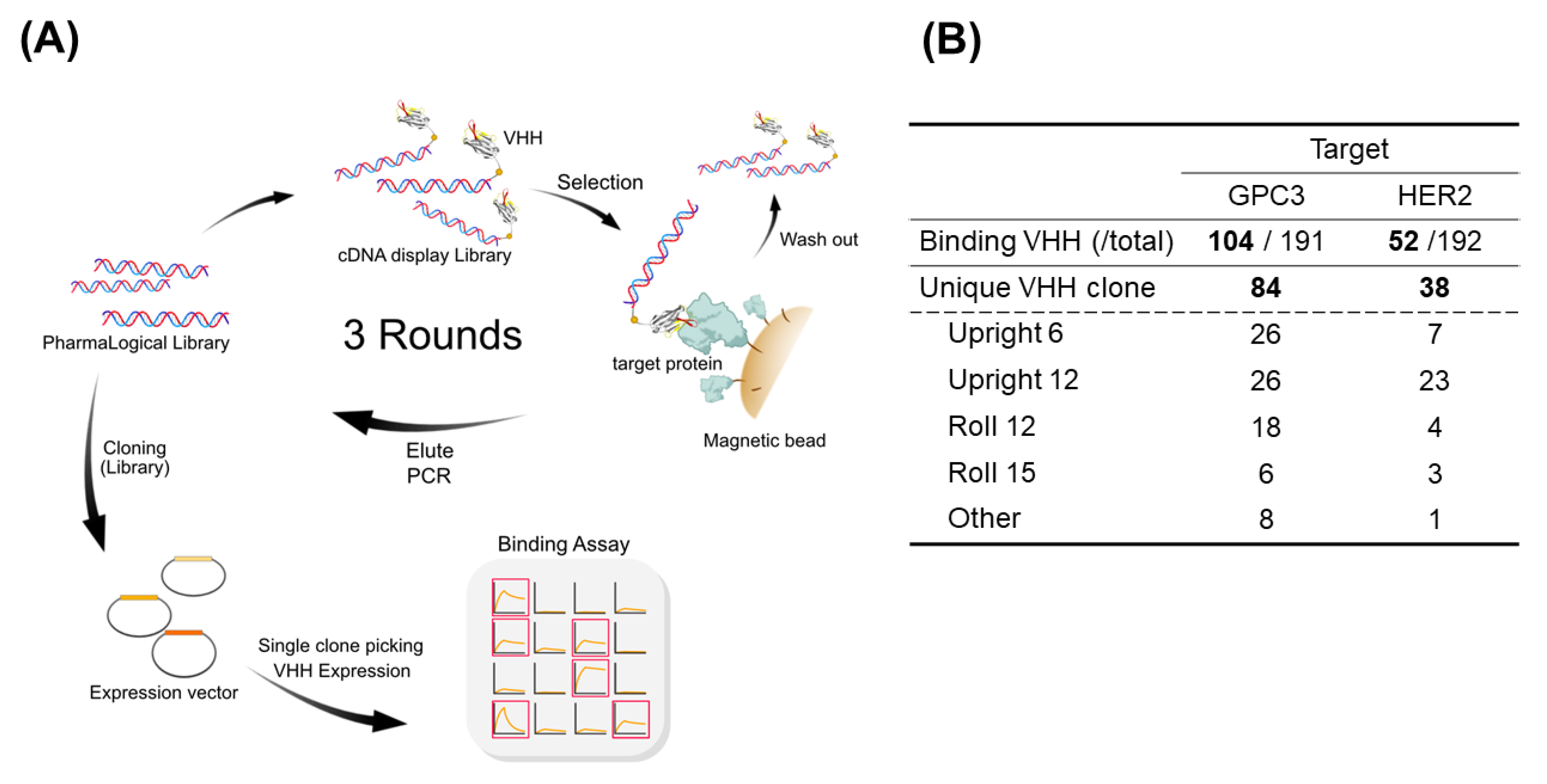 Antibodies | Free Full-Text | Construction of a Humanized Artificial ...
