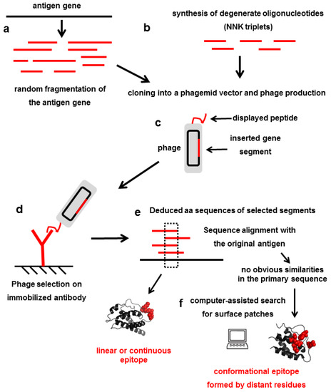 Antibodies | An Open Access Journal from MDPI