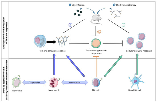 Antibodies | An Open Access Journal from MDPI