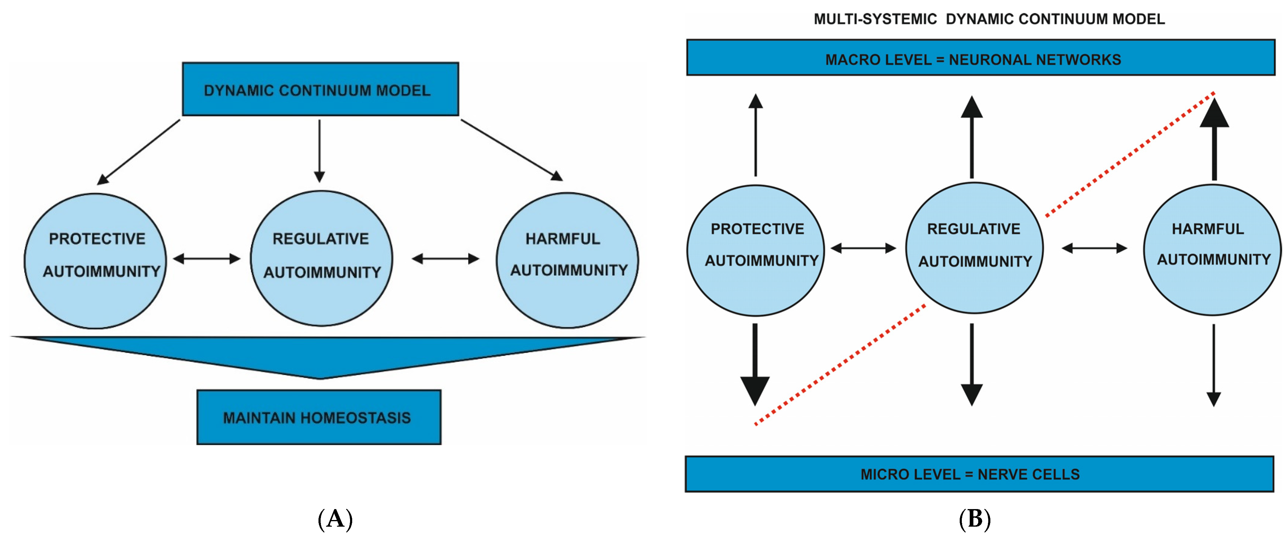 Philosophical Approach to Neural Autoantibodies in Psychiatric Disease—Multi-Systemic Dynamic ...