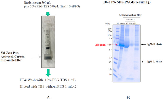 Non-Affinity Purification of Antibodies