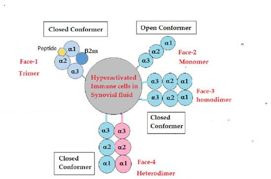 Antibodies | Free Full-Text | Antibodies for β2-Microglobulin and the ...