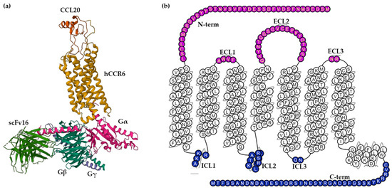 CCR6 as a Potential Target for Therapeutic Antibodies for the Treatment ...