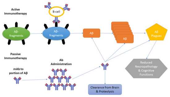Recent Trends in Active and Passive Immunotherapies of Alzheimer’s Disease