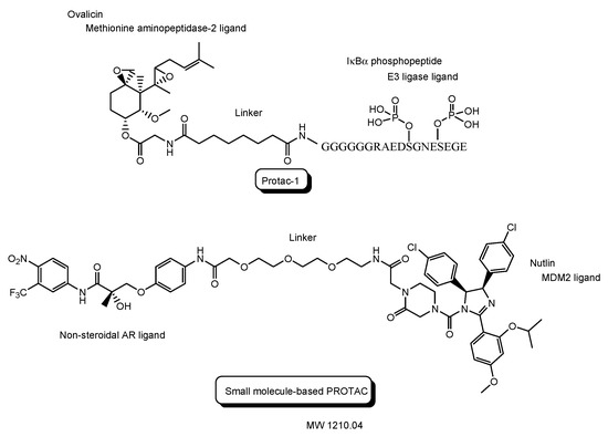 Proteolysis-Targeting Chimera (PROTAC) Delivery into the Brain across ...
