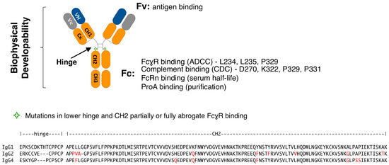 Antibodies | Free Full-Text | Profiling the Biophysical Developability Properties of Common IgG1 ...