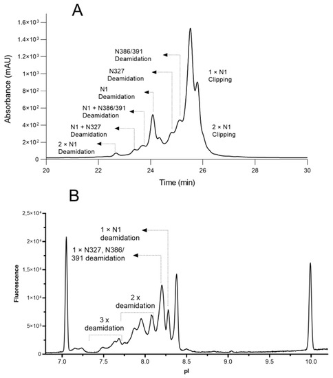 Antibodies | Free Full-Text | Characterization of N-Terminal Asparagine ...