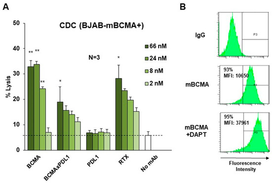 Development of a Bispecific IgG1 Antibody Targeting BCMA and PDL1
