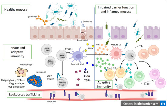Immunogenicity and Loss of Effectiveness of Biologic Therapy for ...