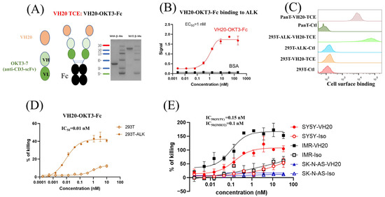 Identification of a Fully Human Antibody VH Domain Targeting Anaplastic ...