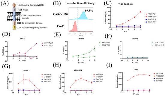 Identification of a Fully Human Antibody VH Domain Targeting Anaplastic ...