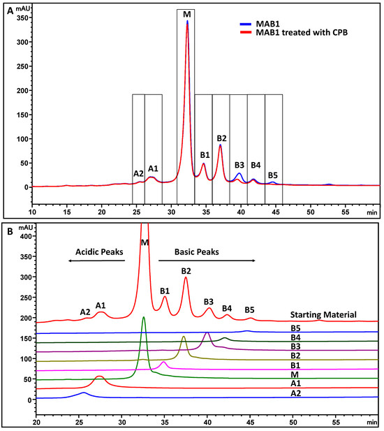 Characterization of the Charge Heterogeneity of a Monoclonal Antibody ...