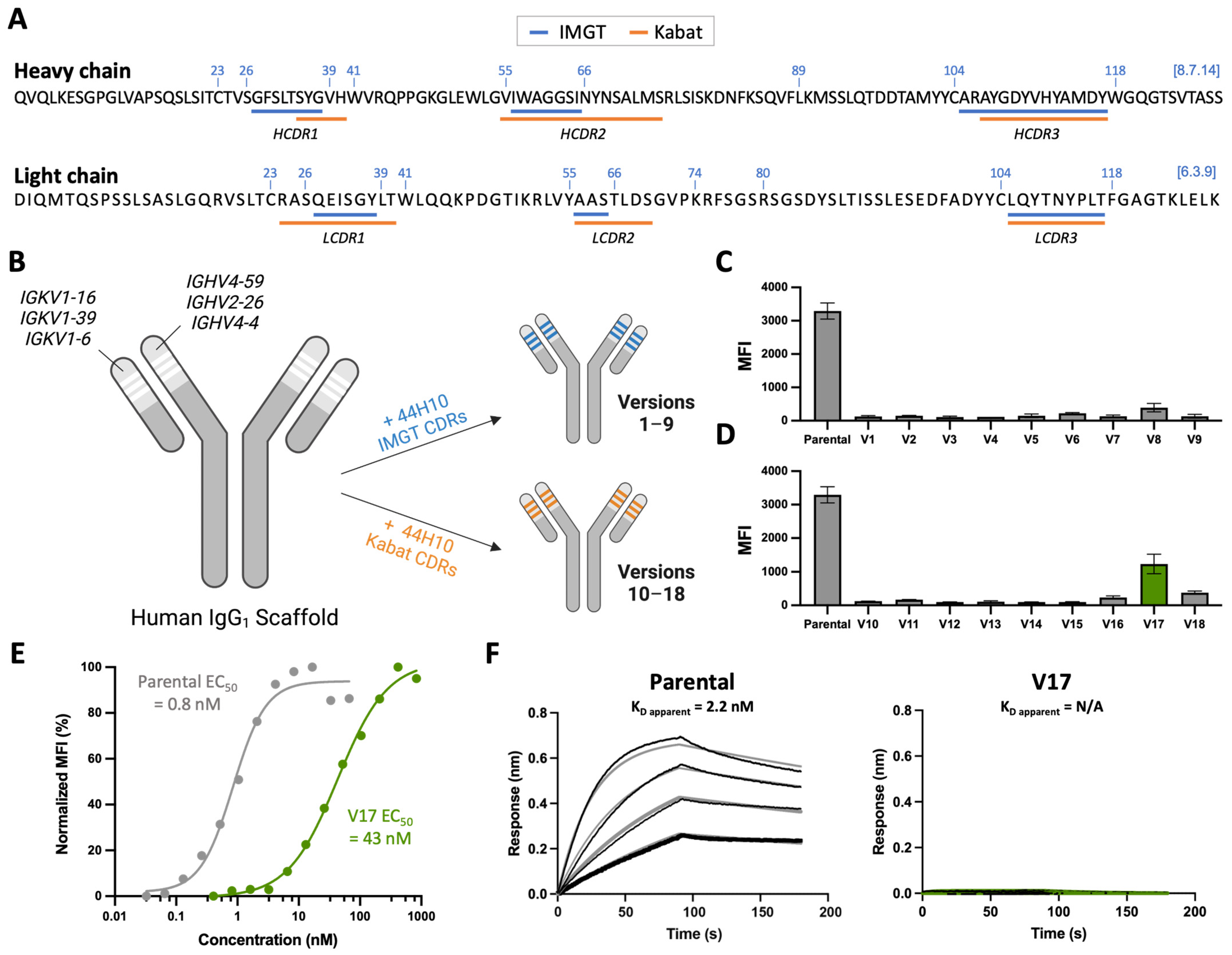 Antibodies | Free Full-Text | Humanization of Pan-HLA-DR mAb 44H10 Hinges on Critical Residues ...