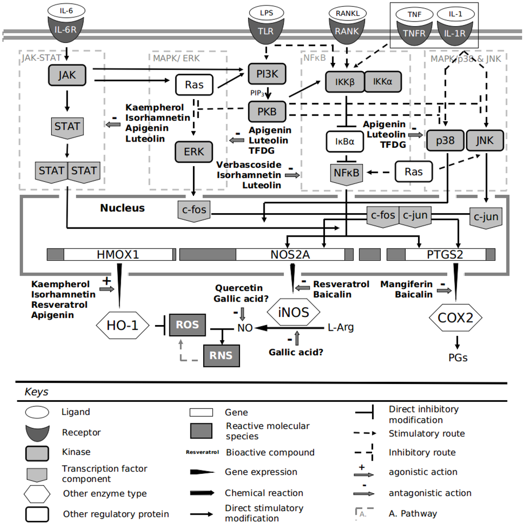 Non-Nutrient, Naturally Occurring Phenolic Compounds with Antioxidant Activity for the ...